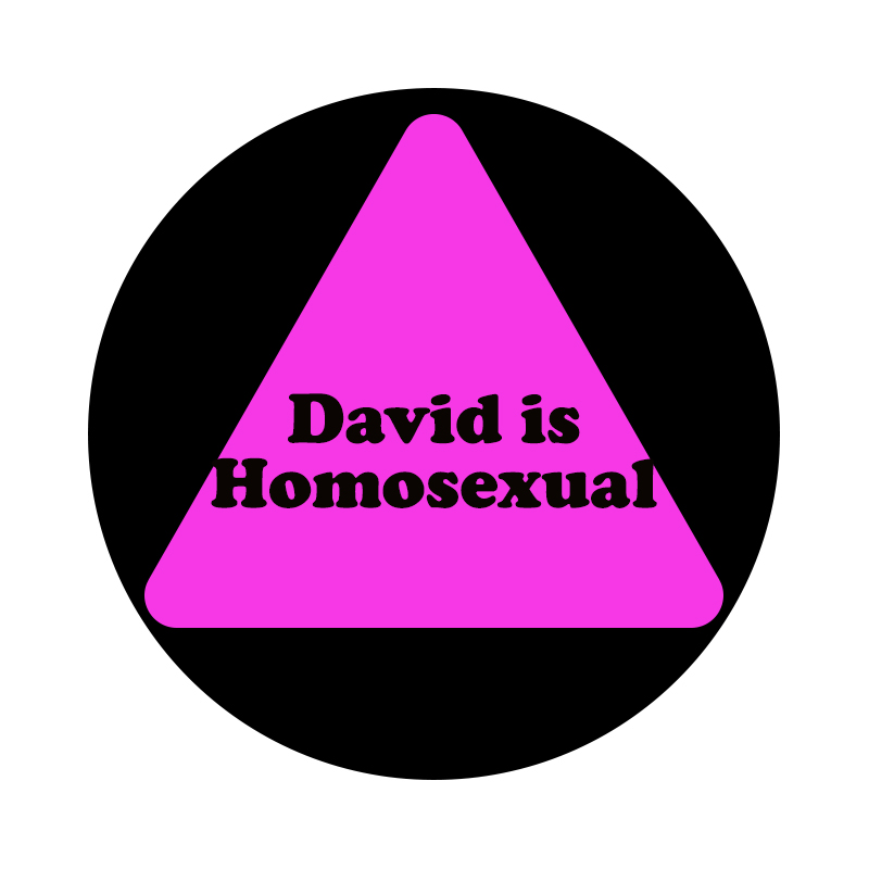 David is Homosexual – Bijou Stories